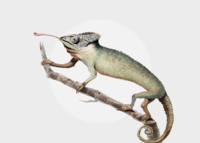 GBIF Metabarcoding Data Toolkit